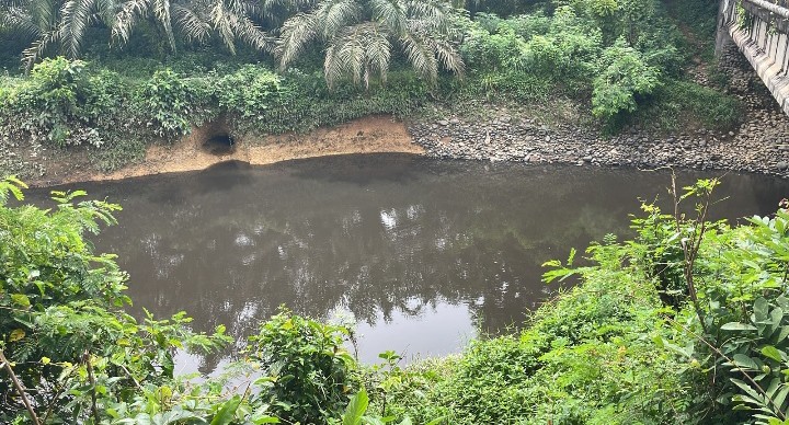 Aliran Krueng Trang Berubah Warna, Apel Green Nagan Raya: Diduga Tercemar Limbah Pabrik